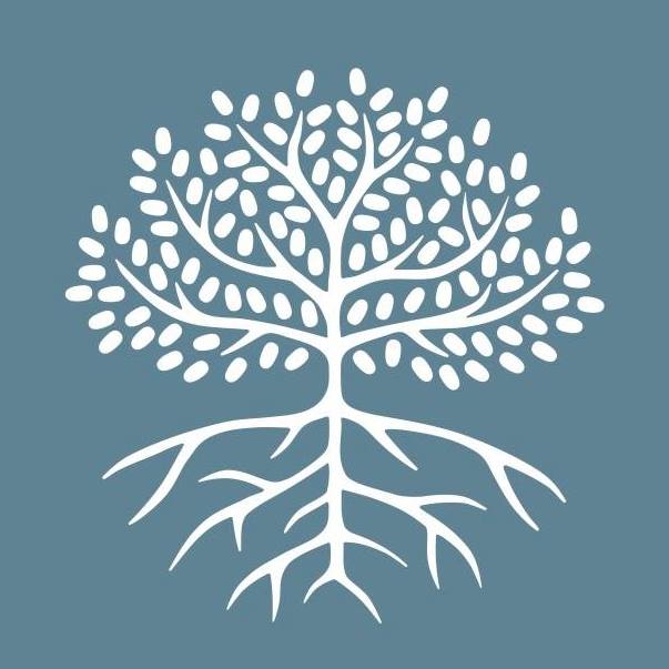 Home - NoVo Foundation